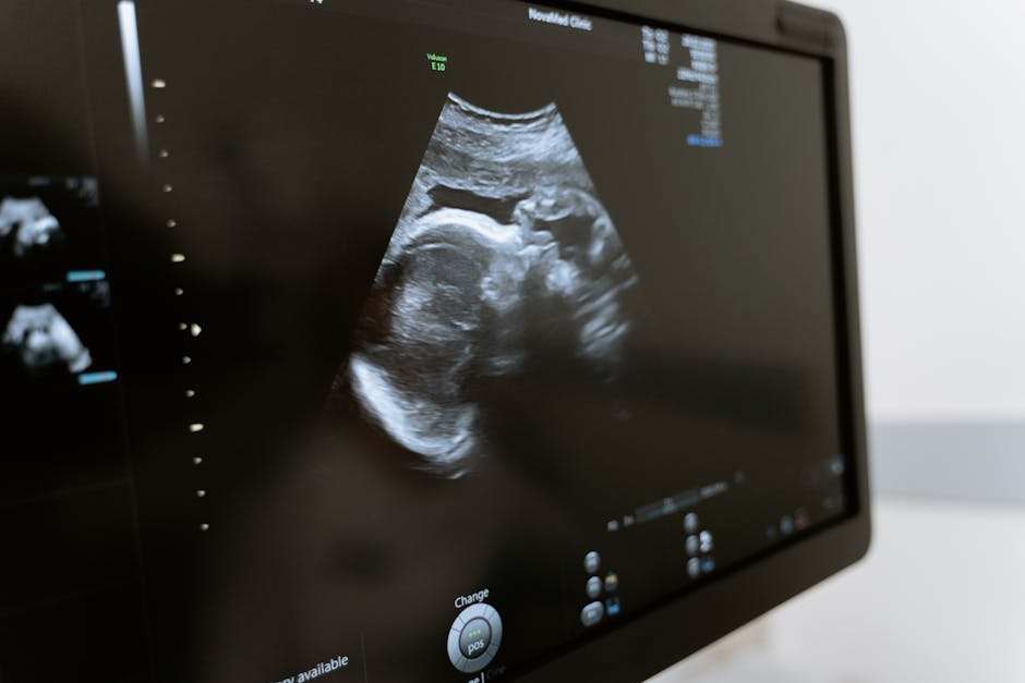 A Clearer View: Highly Sensitive Transparent Ultrasound Transducer ...