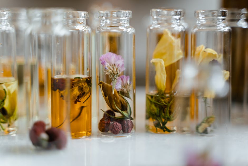 Comprehensive Review of Botanical Emollients in Dermatology: Bioactive ...